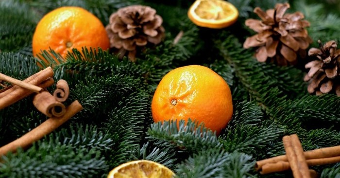 Fruit In Your Christmas Stocking - Texas Forest Country Living