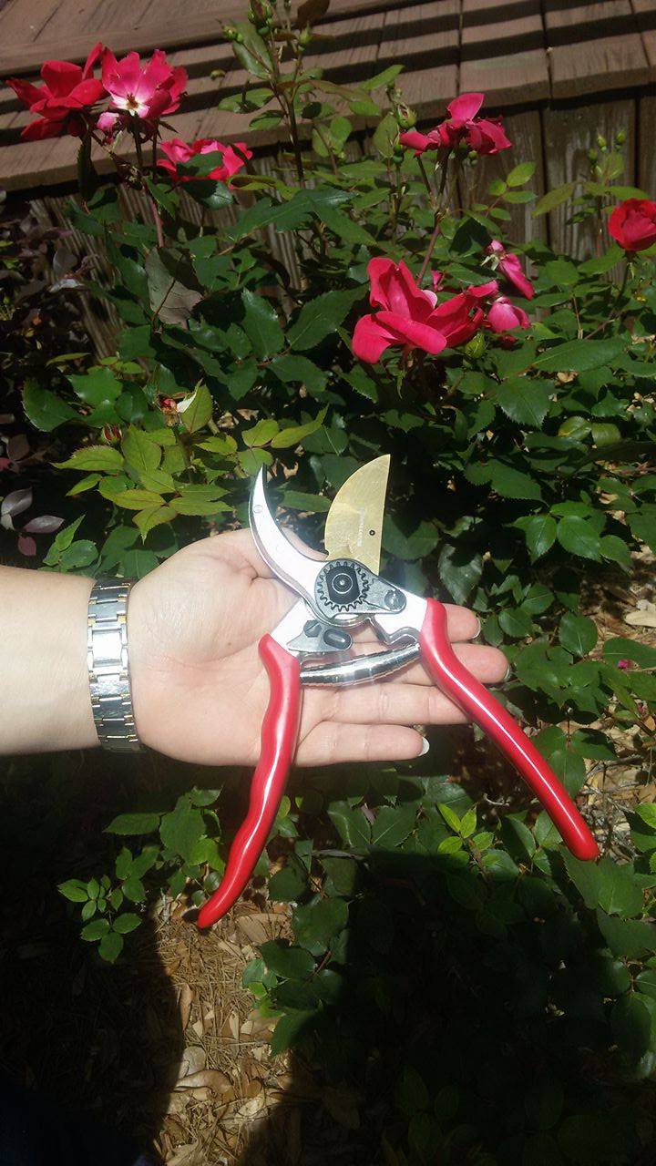 MSGPR Team Tries Out Bypass Pruners | Texas Forest Country Living
