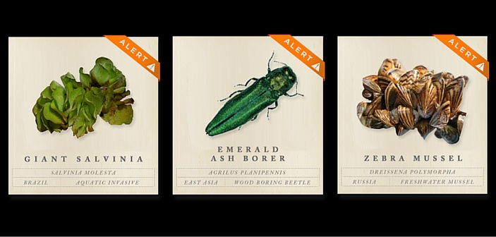 Invasive Species Threaten Texas Freshwaters - Texas Forest Country Living