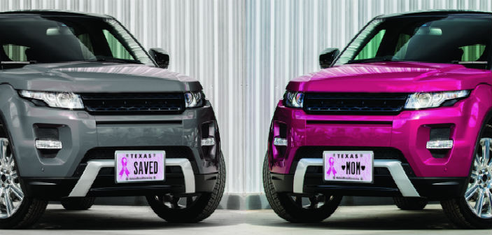 Official Pink Ribbon Texas License Plate Supports Breast Cancer ...