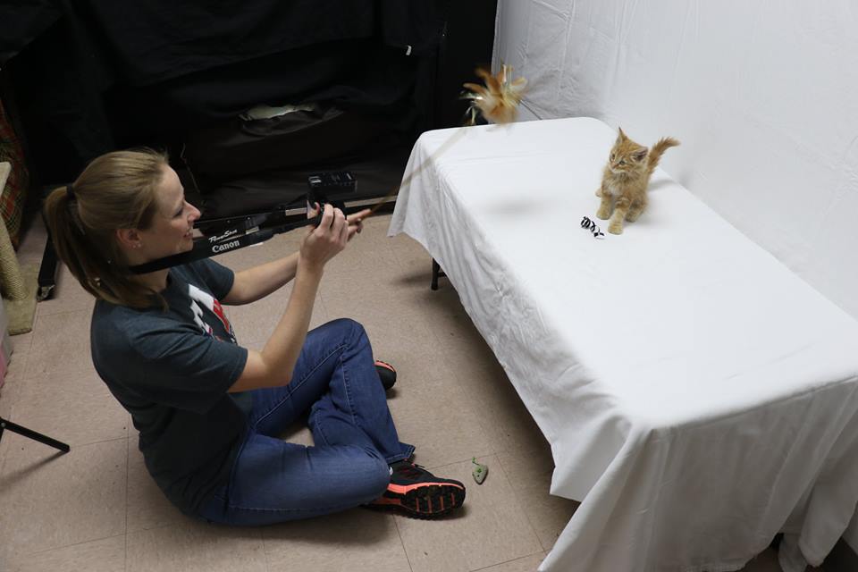 Adopt an Animal & Save a Life - Texas Forest Country Living