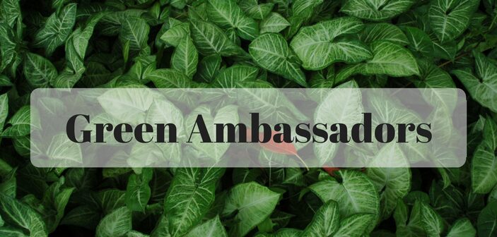 Green Ambassadors Awarded 2016 Vice Chancellor’s Award in Excellence ...