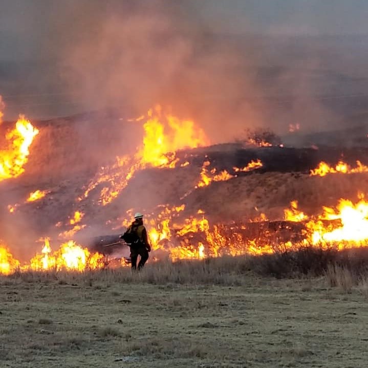 Practice Fire Safety this Holiday Season | Texas Forest Country Living