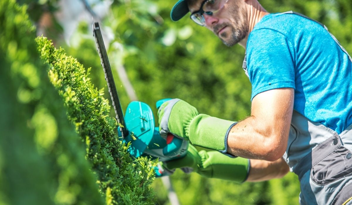 Pruning Trees and Shrubs | Texas Forest Country Living