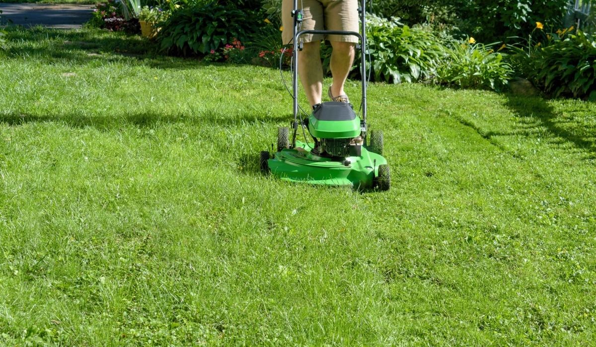 Getting Your Lawn Ready for Summer | Texas Forest Country Living