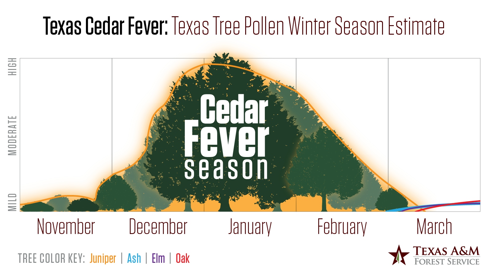 Cedar Fever Season in Texas - Texas Forest Country Living