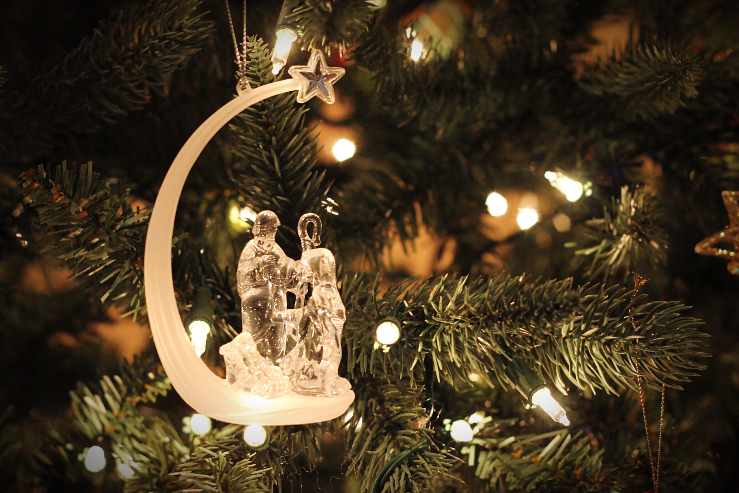 Reflecting on the Nativity Scene - Texas Forest Country Living