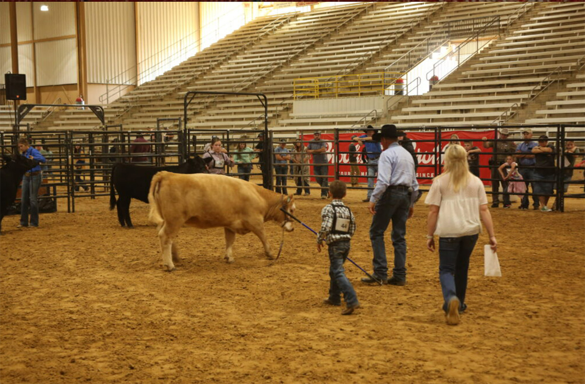 County Fairs, the youth, and those incredible volunteers | Texas Forest ...