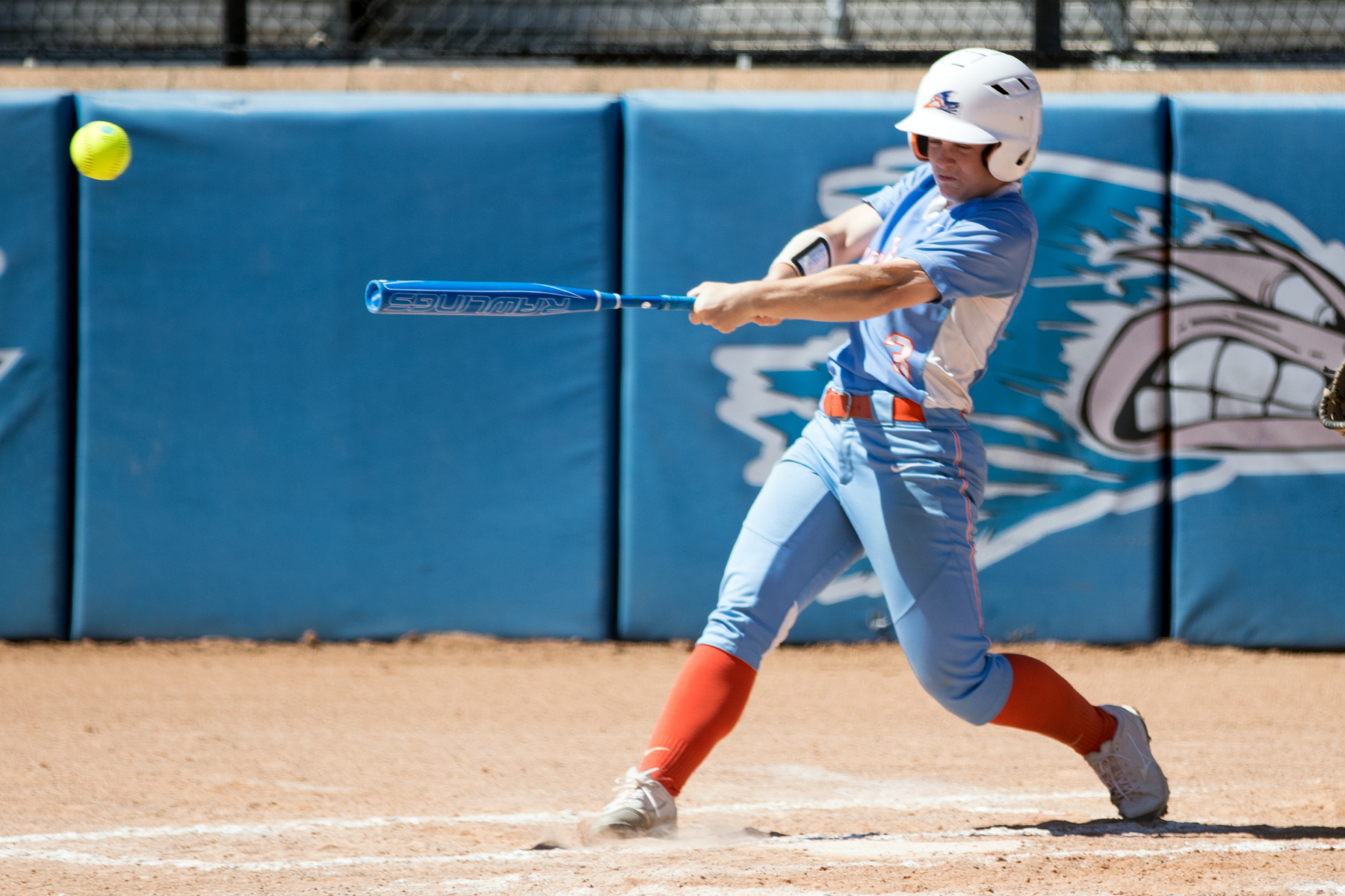 Lady Roadrunners Take Two from Blinn College - Texas Forest Country Living