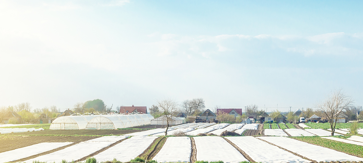 Soil Solarization - Texas Forest Country Living