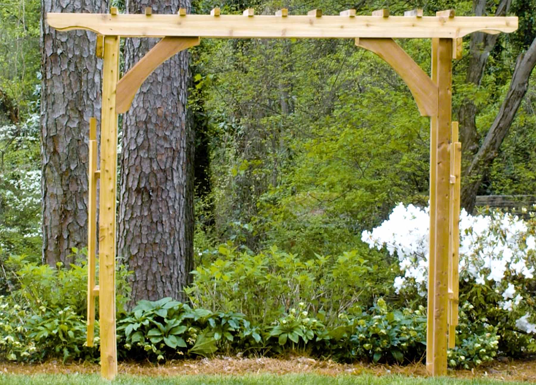 How to Build a Wooden Trellis for Your Garden - Texas Forest Country Living