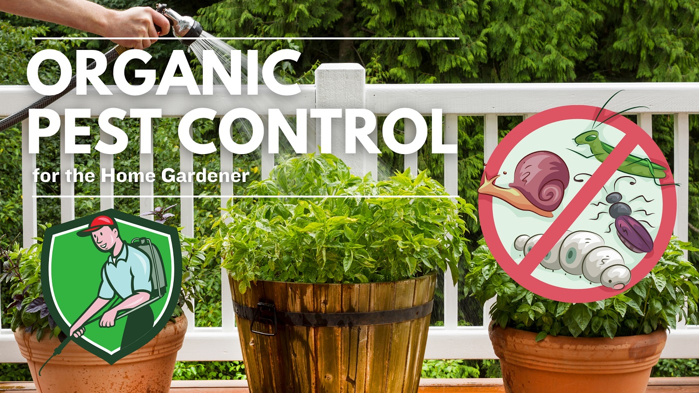 Organic Pest Control for the Home Gardener - Texas Forest Country Living