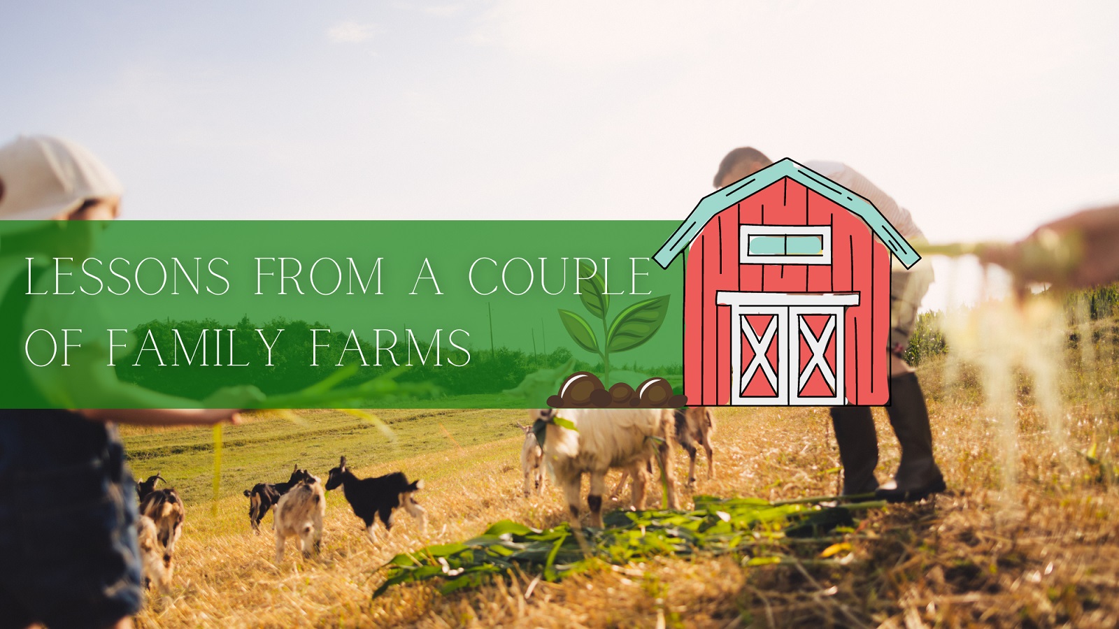 Lessons from a Couple of Family Farms - Texas Forest Country Living