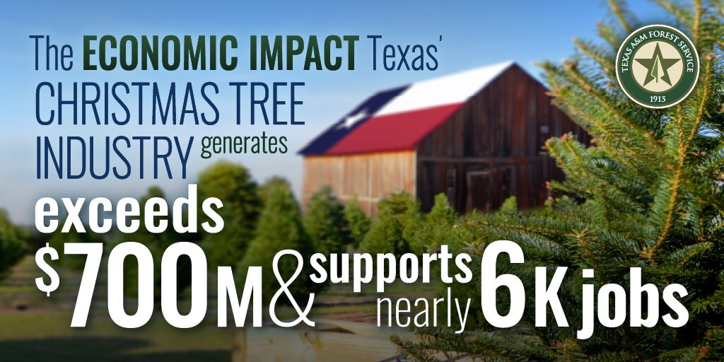 Real Texas Christmas Trees Boost Economy, Generating $397 Million in ...