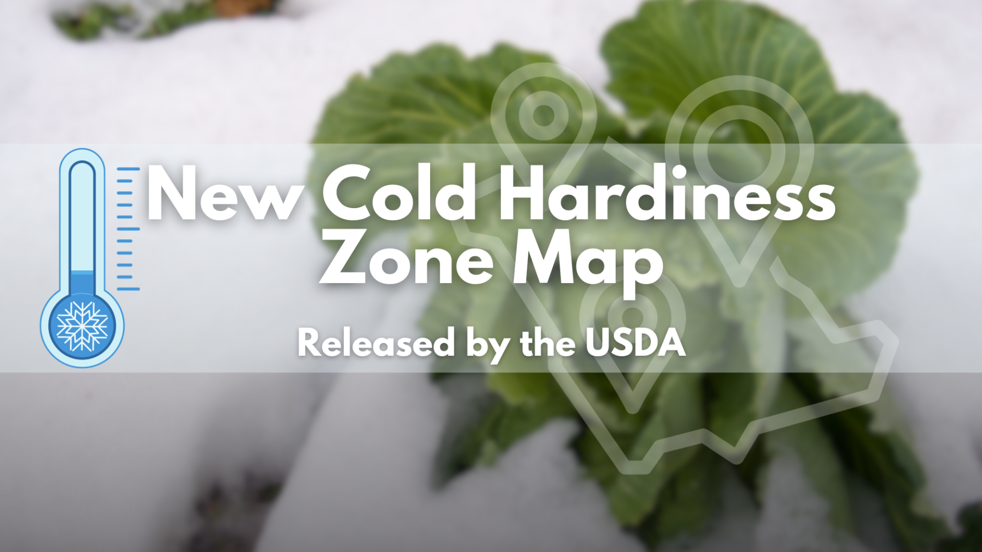 New Cold Hardiness Zone Map Released by the USDA - Texas Forest Country ...