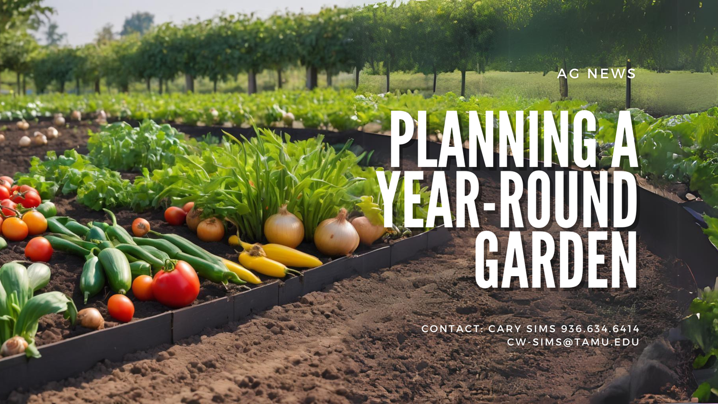 Planning A Year-Round Garden - Texas Forest Country Living